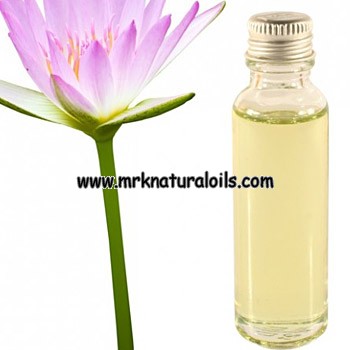 Lotus Flower Essential Oil - Buy 100% Pure & Natural Essential Oils ...