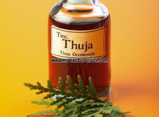 Thuja Essential Oil - Buy 100% Pure & Natural Essential Oils from India ...